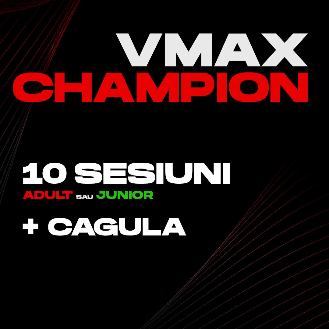 Vmax Champion - Vmax Electric Indoor Karting